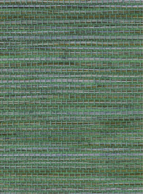 Lily Green Sisal Agave Wallpaper - twenty2 LLC - twenty2 grasscloth