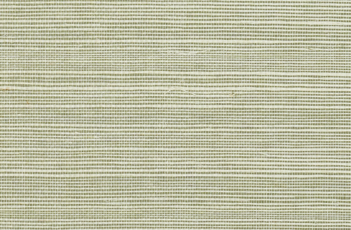 Cream Green Sisal Agave Wallpaper - twenty2 LLC - twenty2 grasscloth