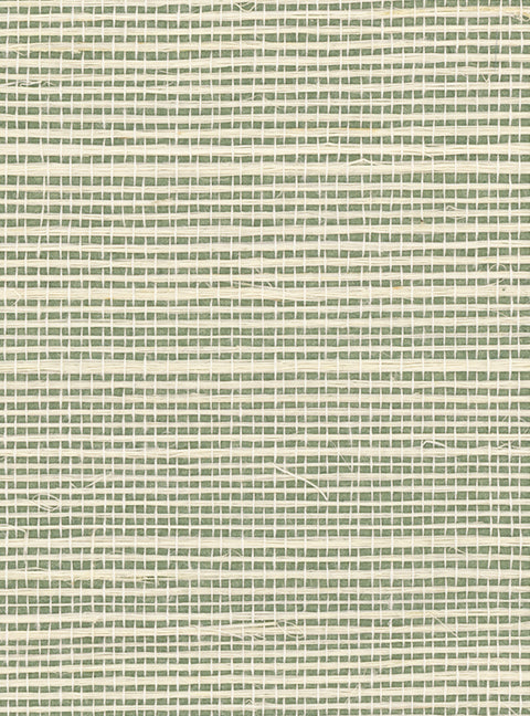 Cream Green Sisal Agave Wallpaper - twenty2 LLC - twenty2 grasscloth