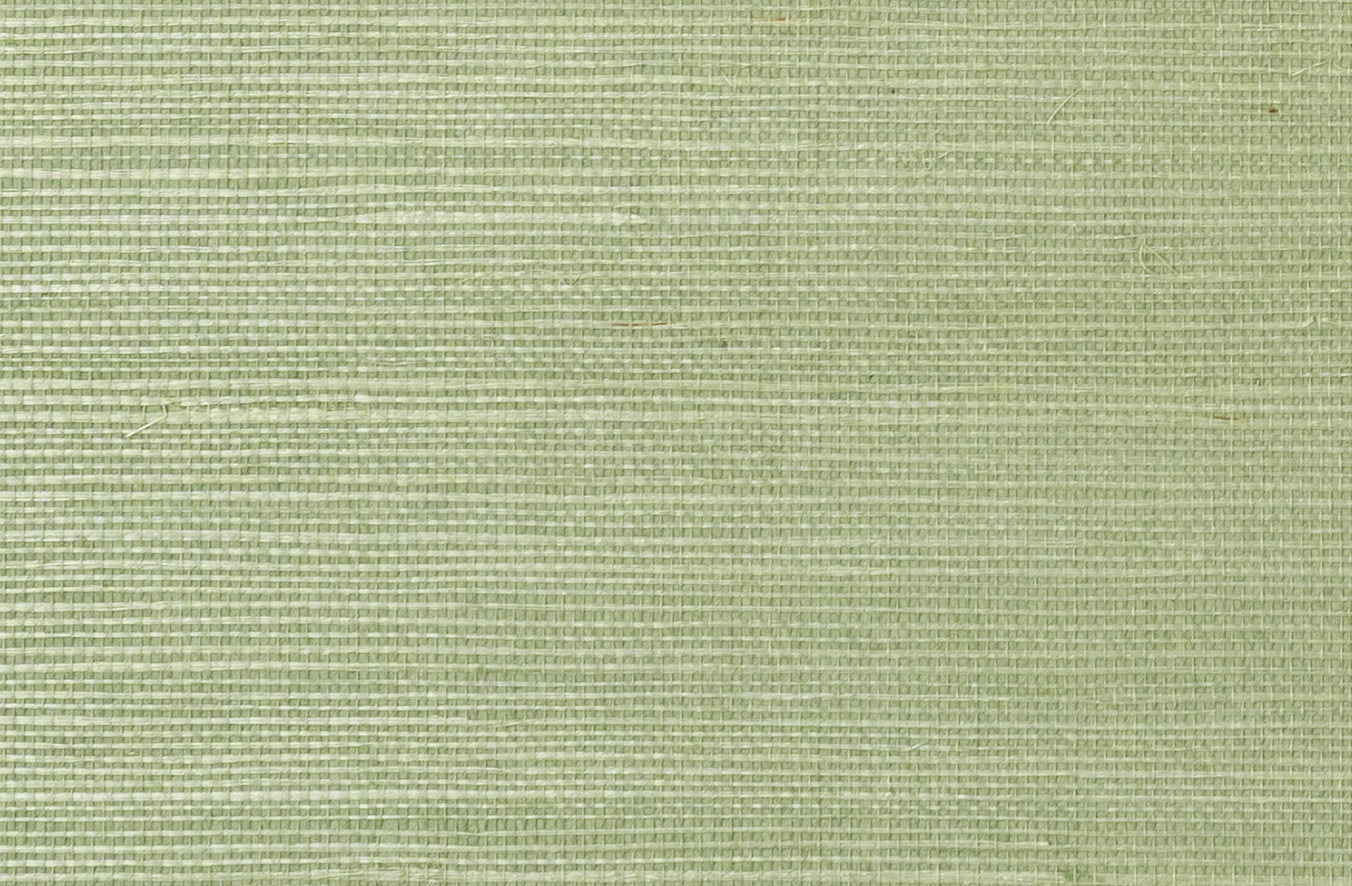 Earthy Green Sisal Agave Wallpaper - twenty2 LLC - twenty2 grasscloth
